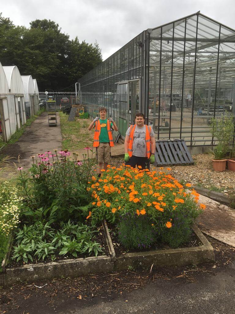 Welcome to the SRT blog No. XIII - Sunnyside Rural Trust