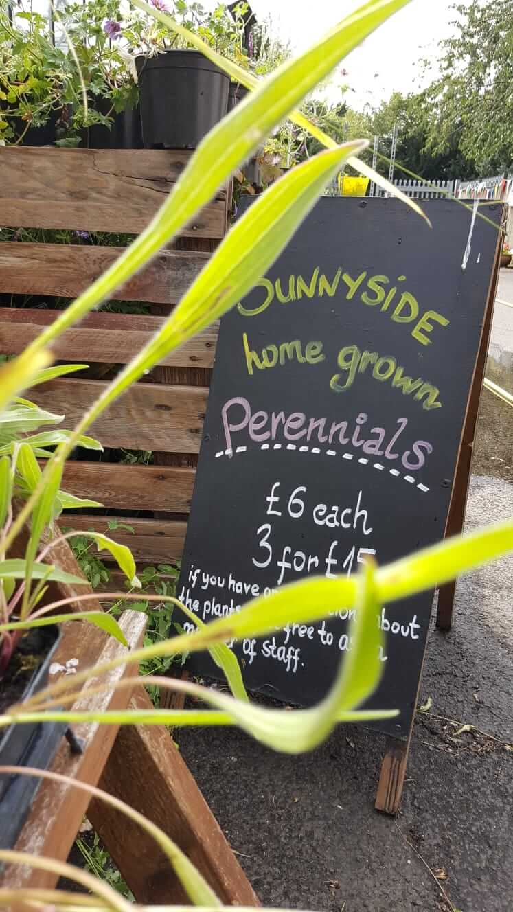 Welcome to the SRT blog No. 14 - Sunnyside Rural Trust