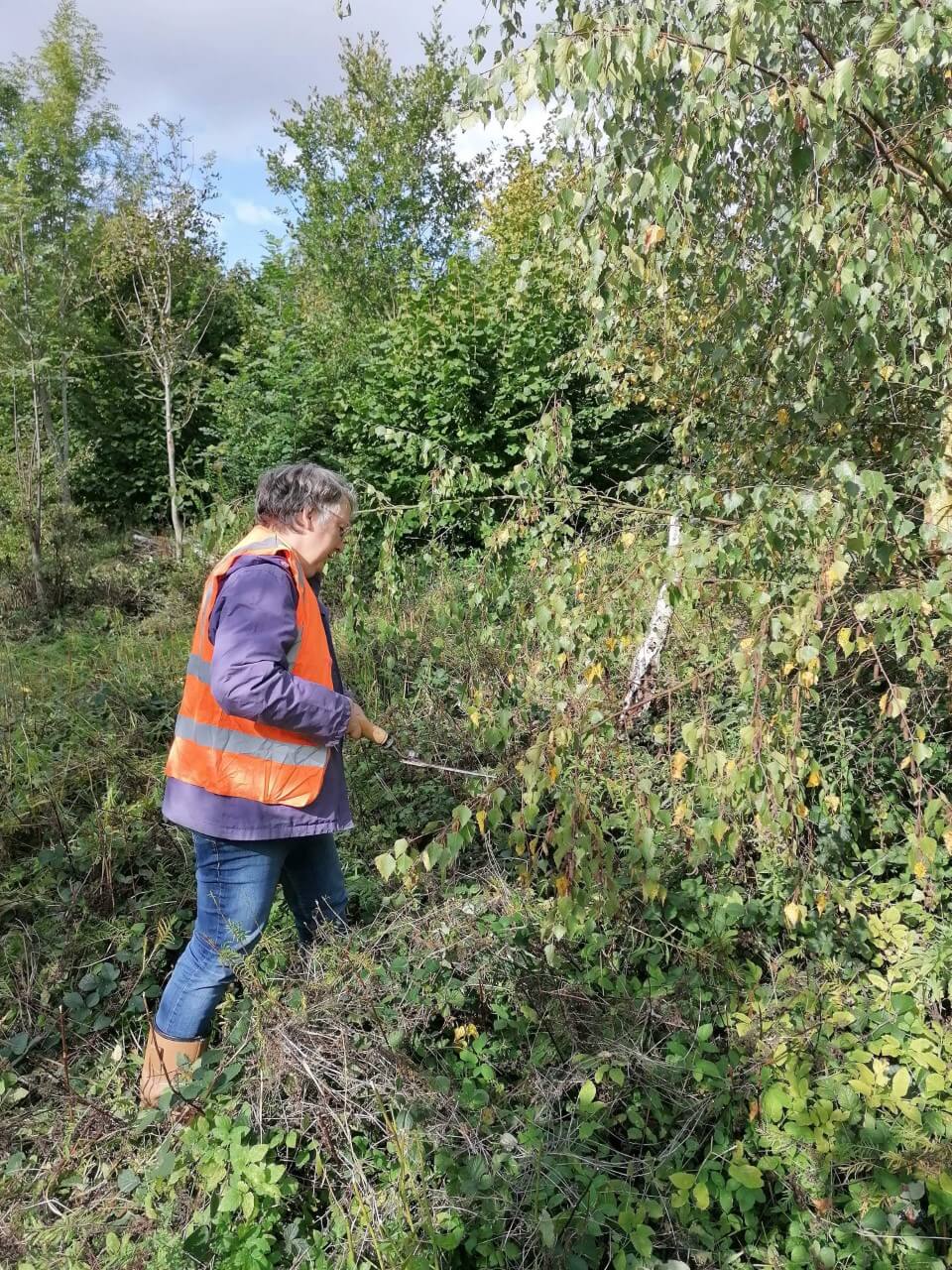 Welcome to the SRT blog No. 23 - Sunnyside Rural Trust