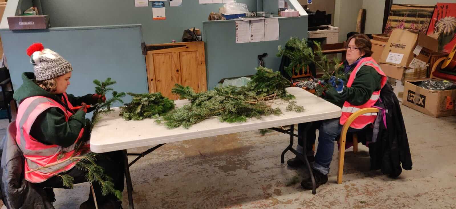 Welcome to the SRT blog No. 32 - Sunnyside Rural Trust