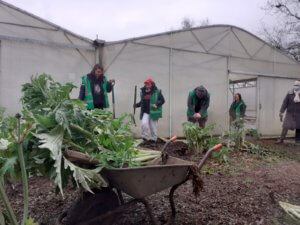 Welcome to the SRT blog No. 36 - Sunnyside Rural Trust