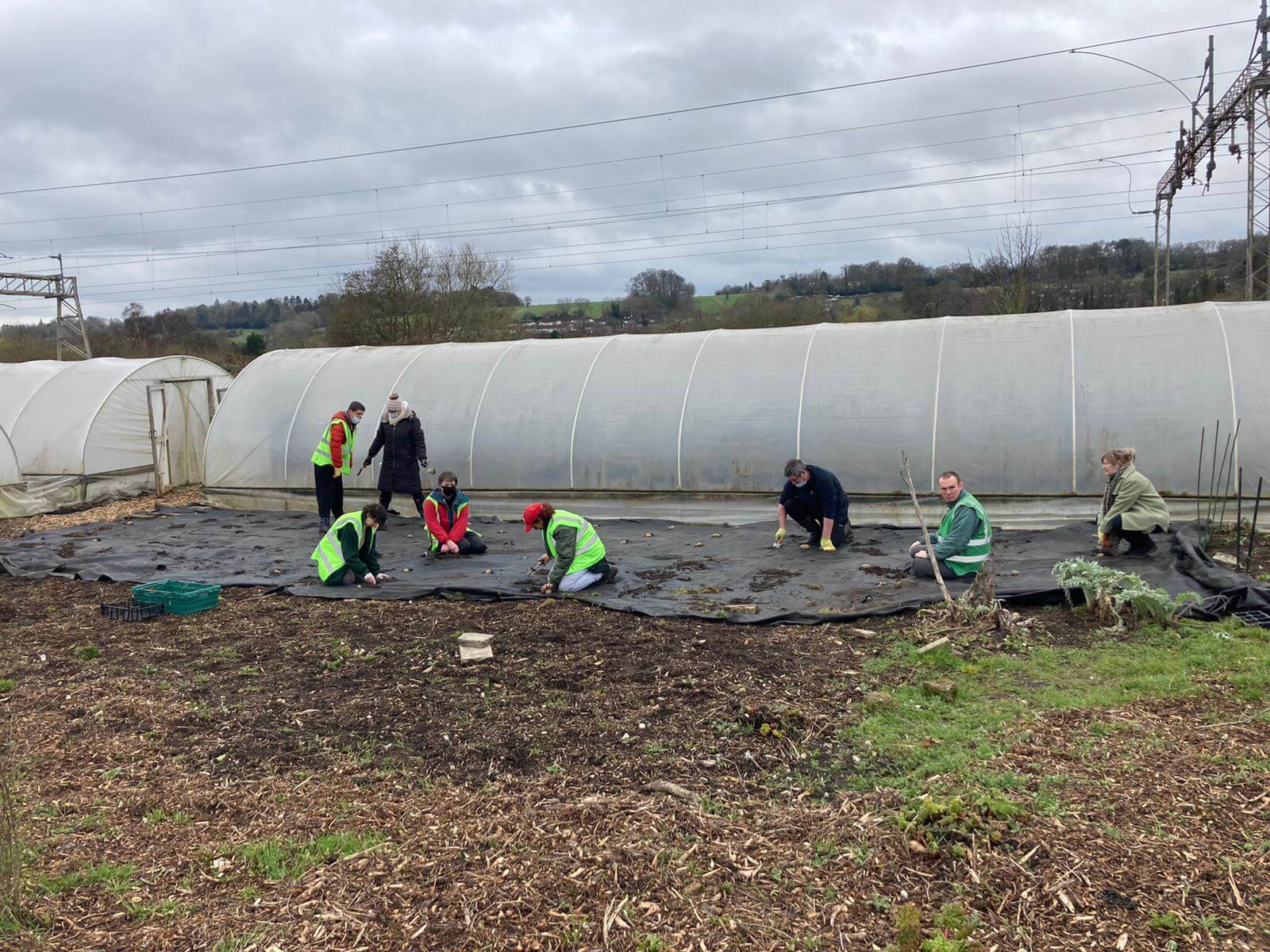 Welcome to the SRT blog No. 45 - Sunnyside Rural Trust