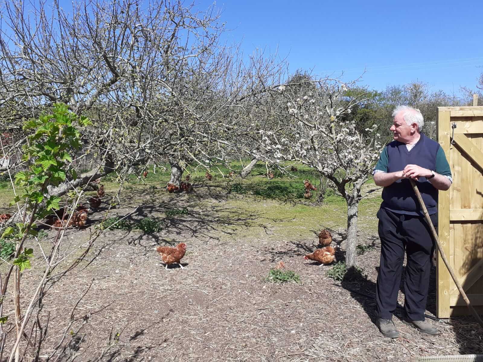 Welcome to the SRT blog No. 50 - Sunnyside Rural Trust