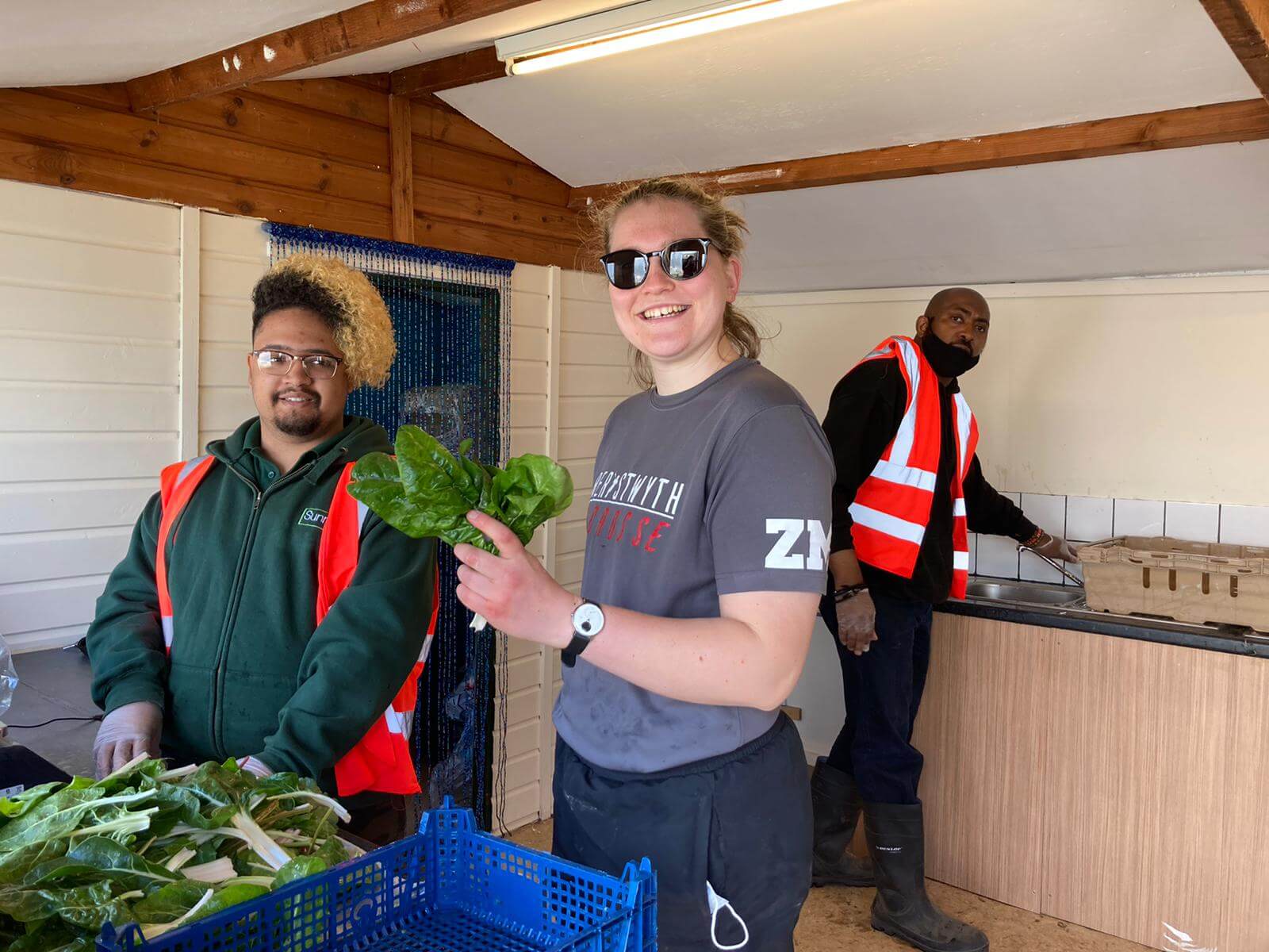 Welcome to the SRT blog No. 50 - Sunnyside Rural Trust