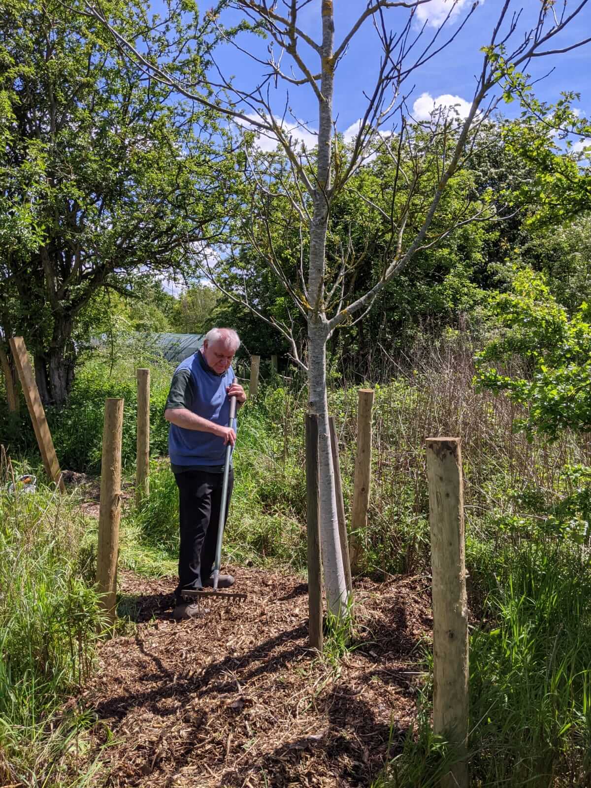 Welcome to the SRT blog No. 55 - Sunnyside Rural Trust