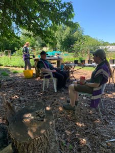 Welcome to the SRT blog No. 56 - Sunnyside Rural Trust