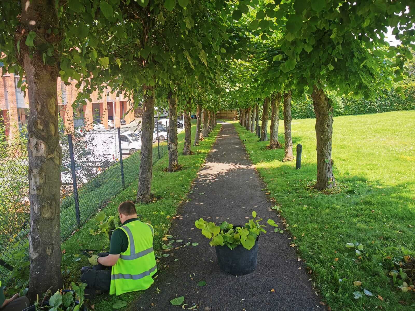 Welcome to the SRT blog No. 62 | Sunnyside Rural Trust