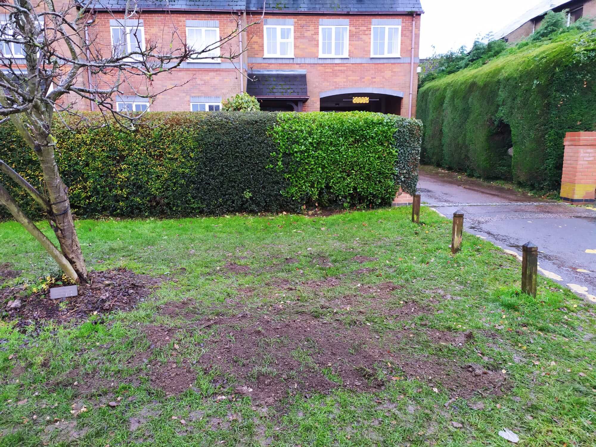 Welcome to the SRT blog No. 80 - Sunnyside Rural Trust