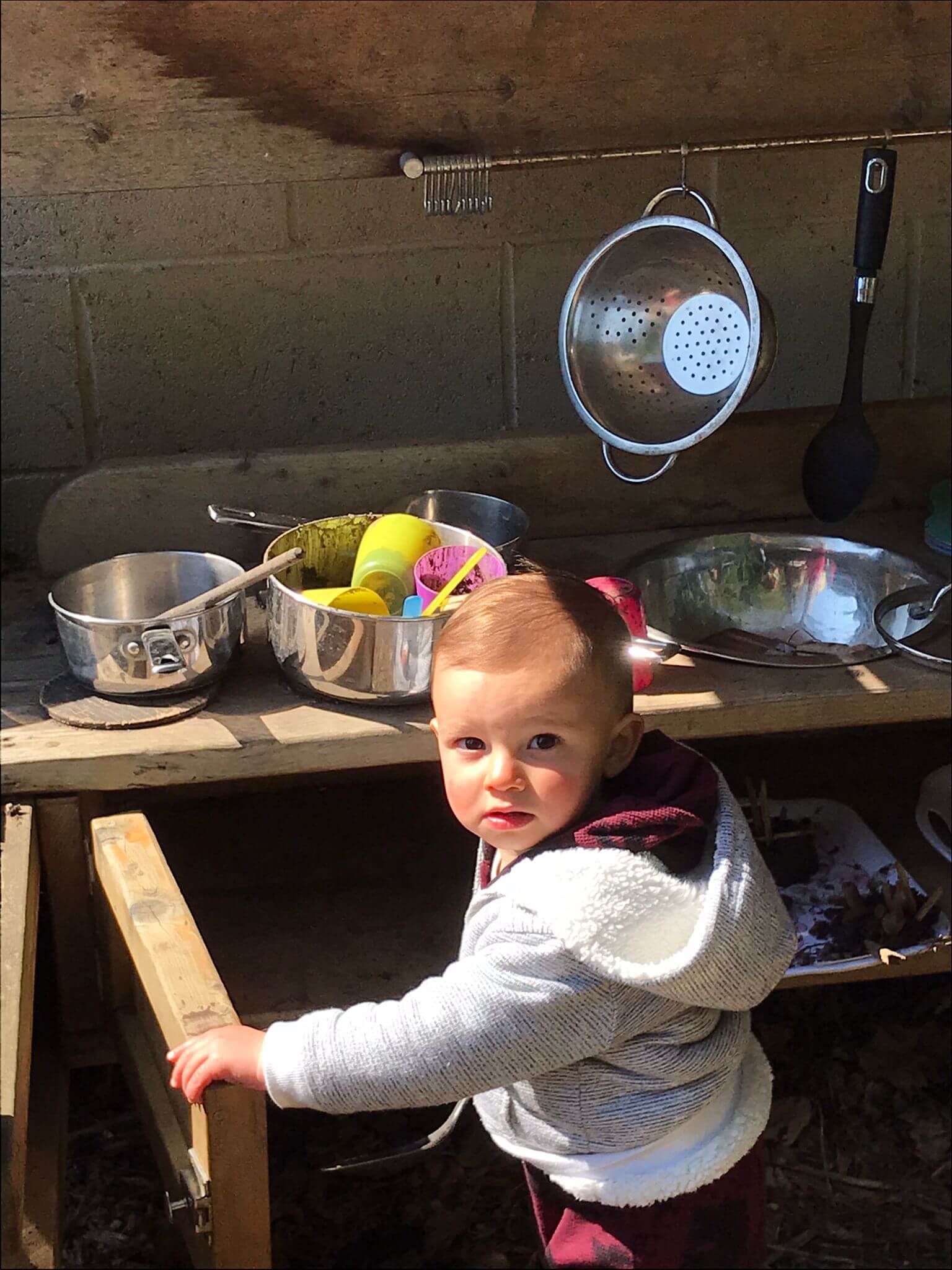 Welcome to the SRT blog No. 144 - Sunnyside Rural Trust